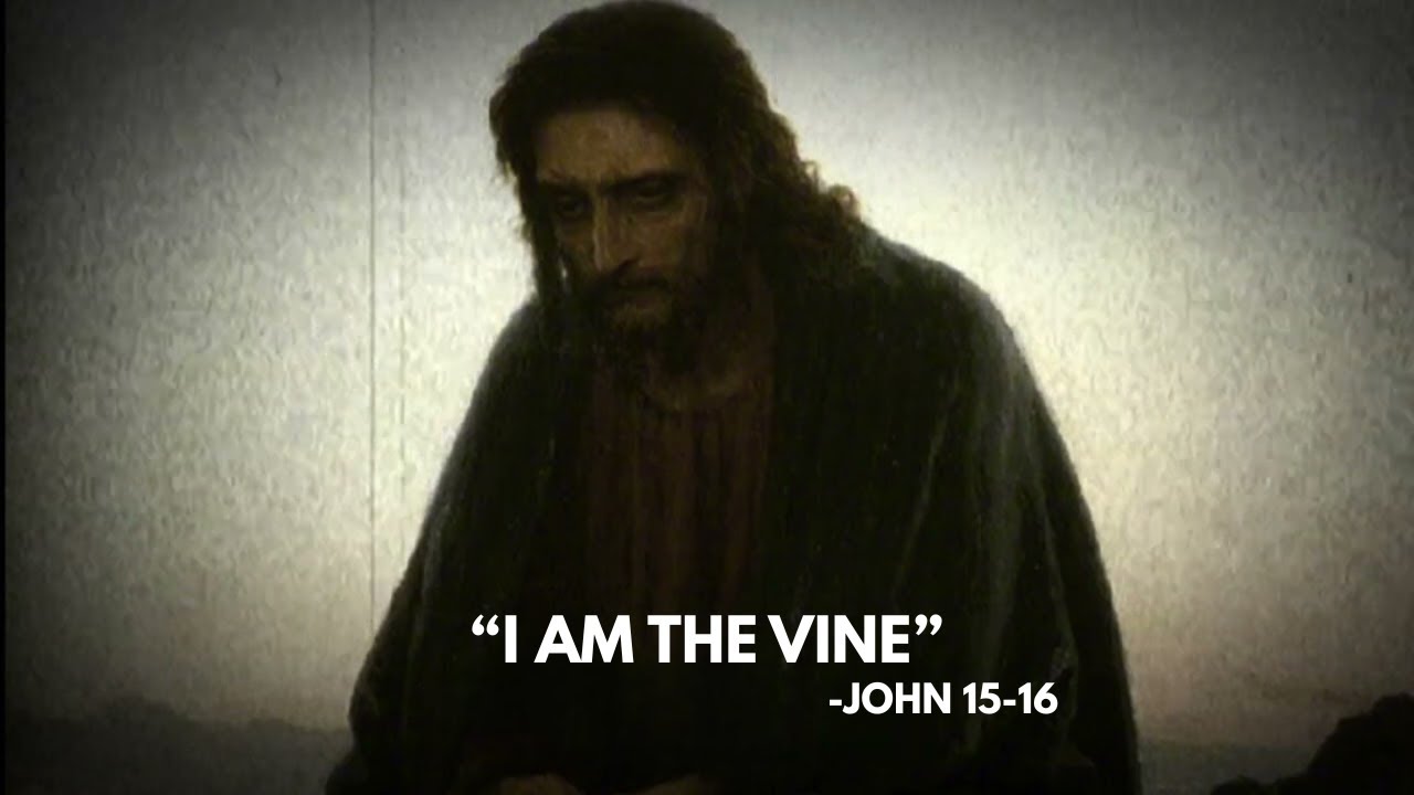I Am the True Vine | Jesus Powerful Teachings on Love, Faith ...