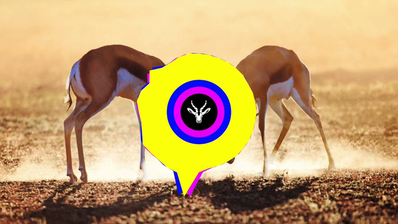 Snotkop - Raak Vir My Rustig (Official Audio) [HQ] - YouTube