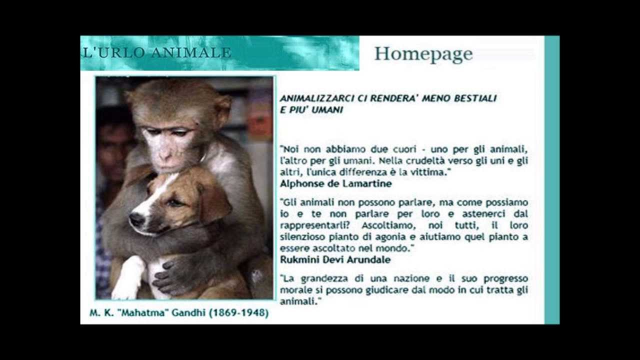 L'Urlo Animale: Intervento del Prof. Marco Mamone Capria - YouTube