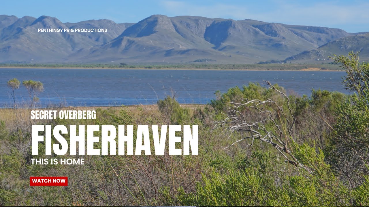 Fisherhaven South Africa | Wild Horses, Flamingos & Hidden Nature in ...