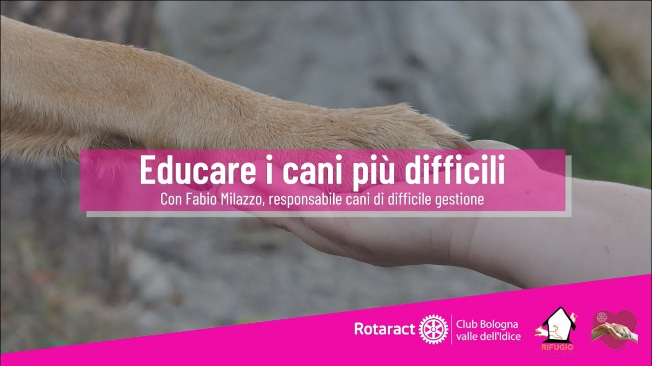 Educare i cani più difficili, Fabio Milazzo - YouTube