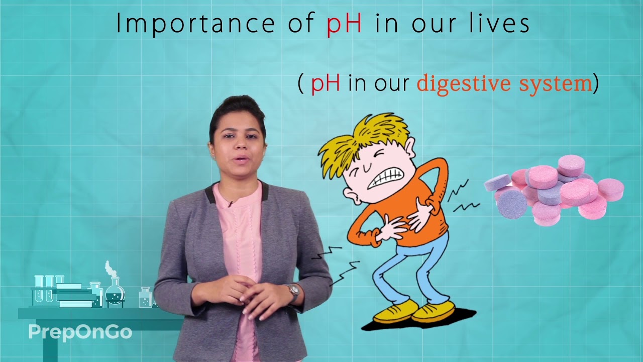 Acids Bases And Salts 10 Importance Of PH In Our Daily Life CBSE