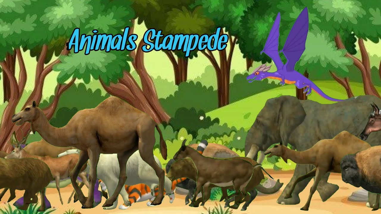 animals stampede forest green | animals walking elephant giraffe zebra ...