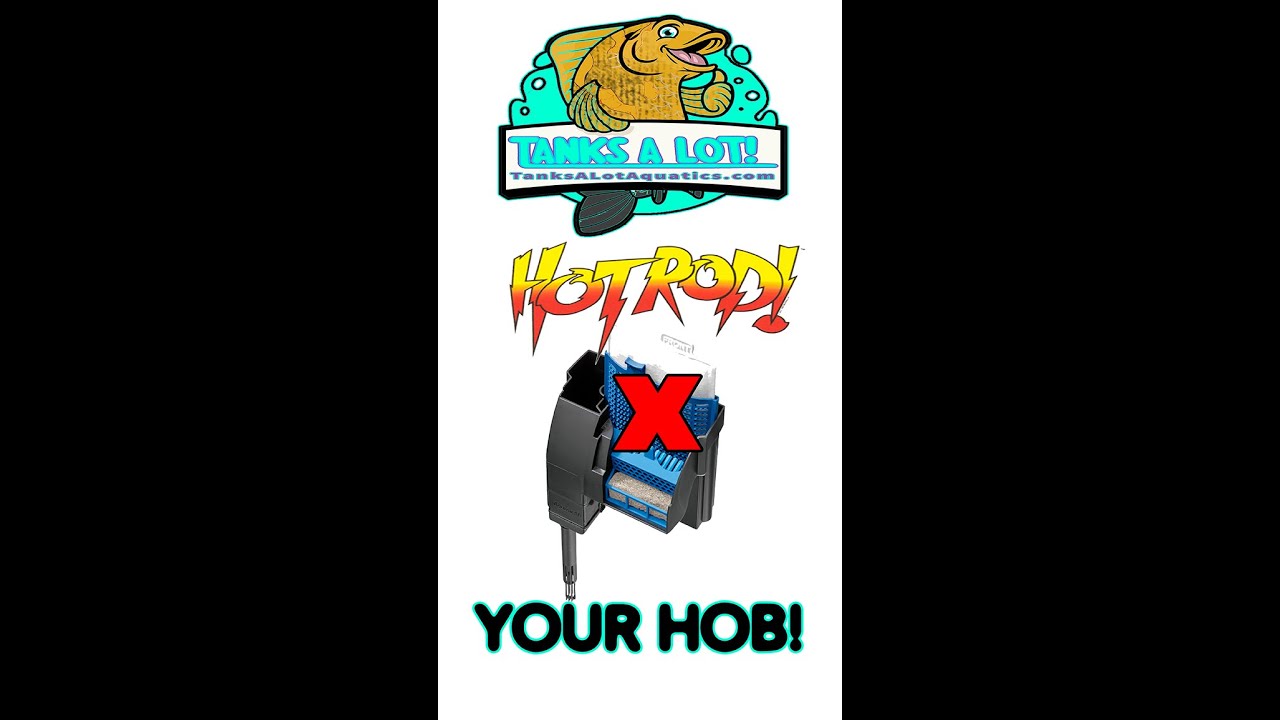 Hotrod Your HOB Filter for Maximum Filtration! 🛠️🐠 Tanks A Lot ...
