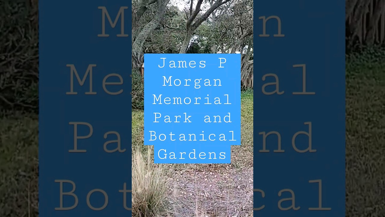 James P Morgan Memorial Park and Botanical Garden- Pensacola Beach ...