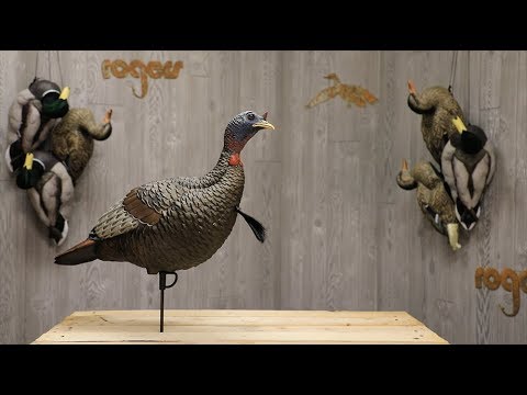 Flextone Thunder Jake Turkey Decoy - YouTube