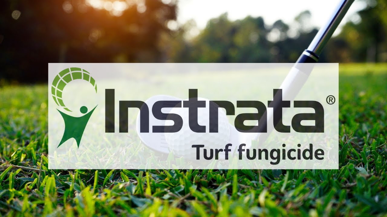 INSTRATA® Turf Fungicide: For a complete inside out Turf protection ...