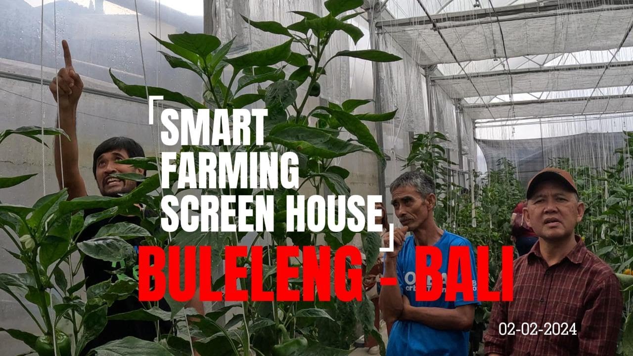 SMART FARMING SCREEN HOUSE BULELENG - YouTube