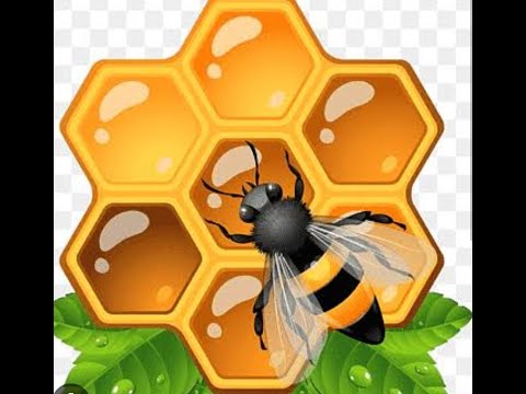 Bee Network incelemesi indir kazan