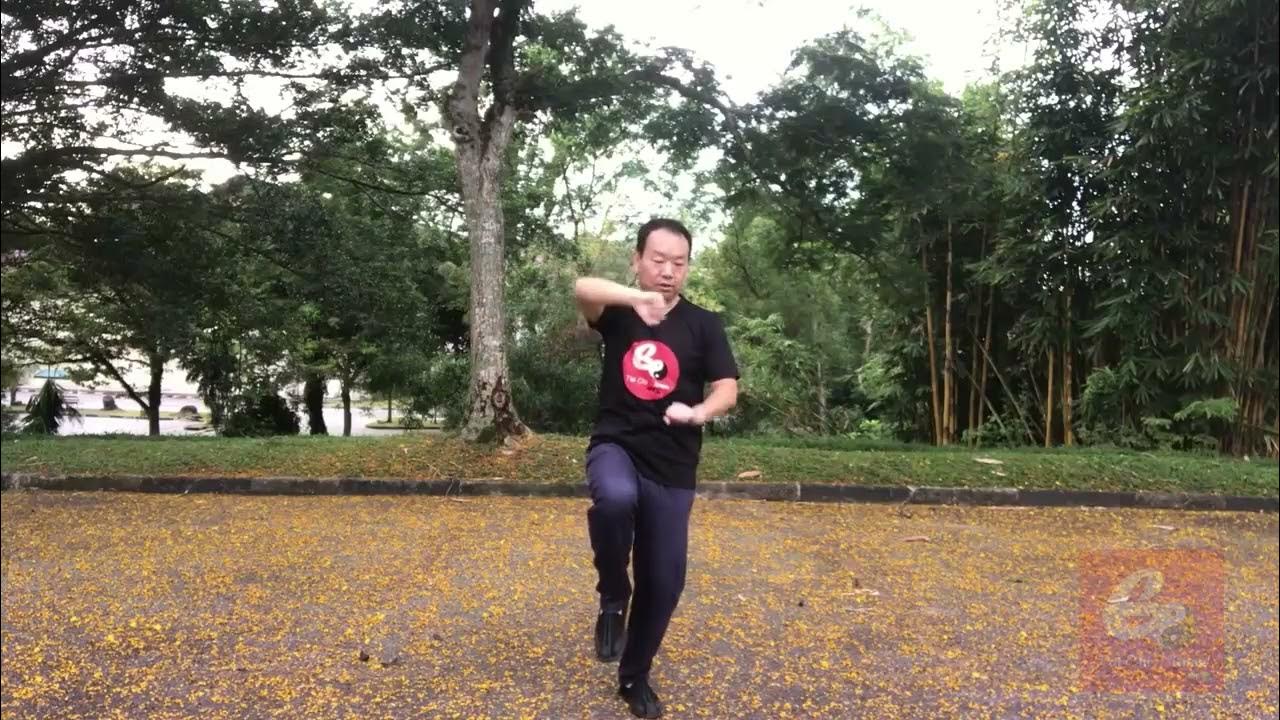 Chen Style Tai Chi New Frame First Routine 陈氏太极拳新架一路- XJ1 60 跌叉 Splitting Leg Sitting - YouTube