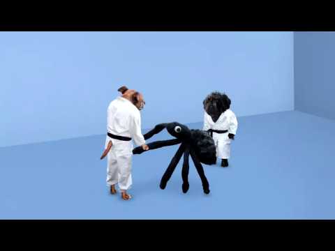 Dog Judo - Spiders - YouTube