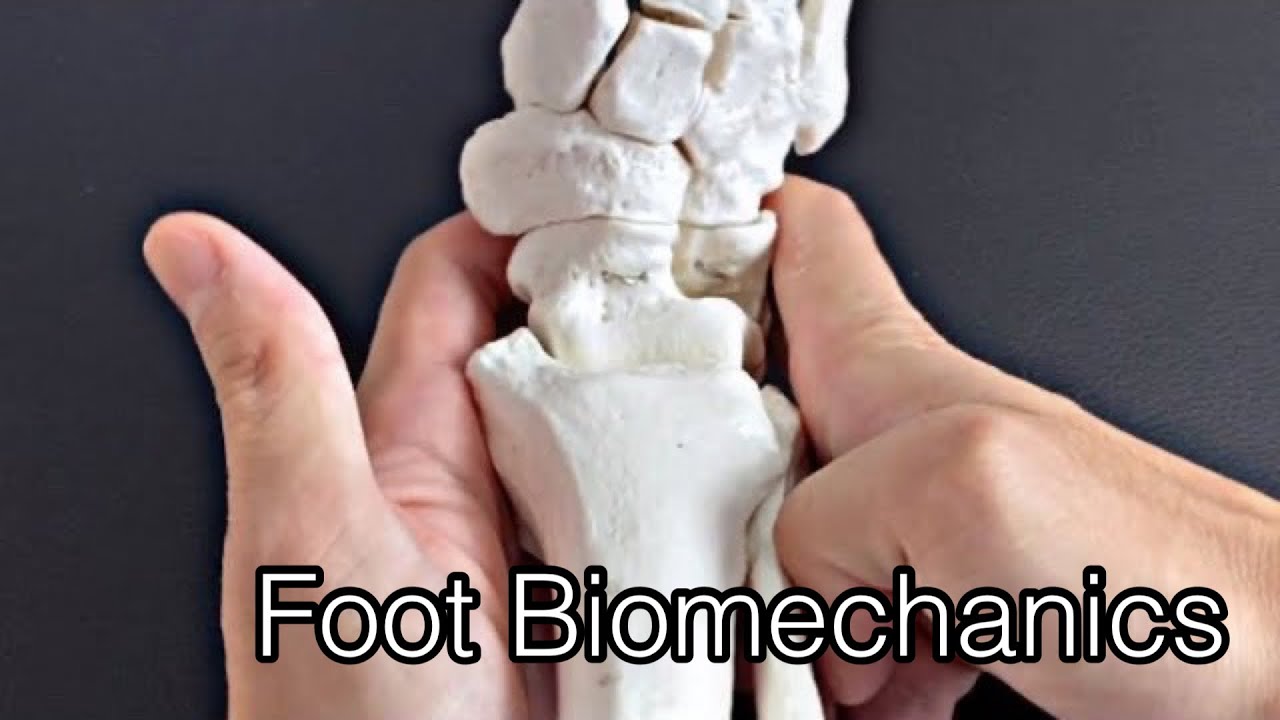 This is why foot mechanics is important for posture (English) - YouTube