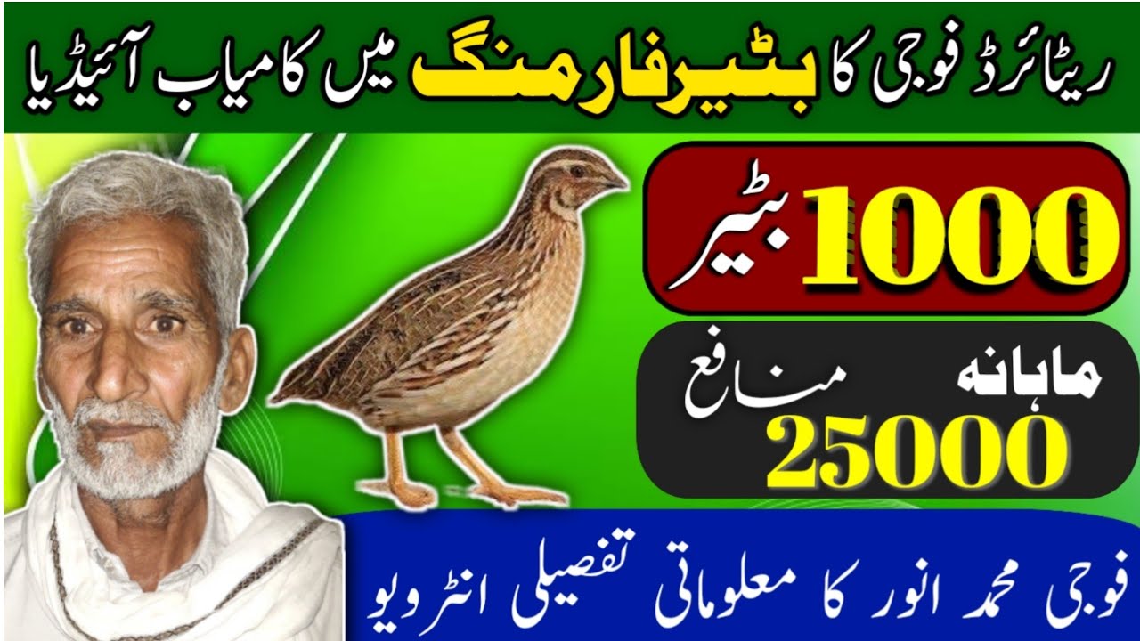 Batair Farming best and profitable business ideas 2021 - YouTube