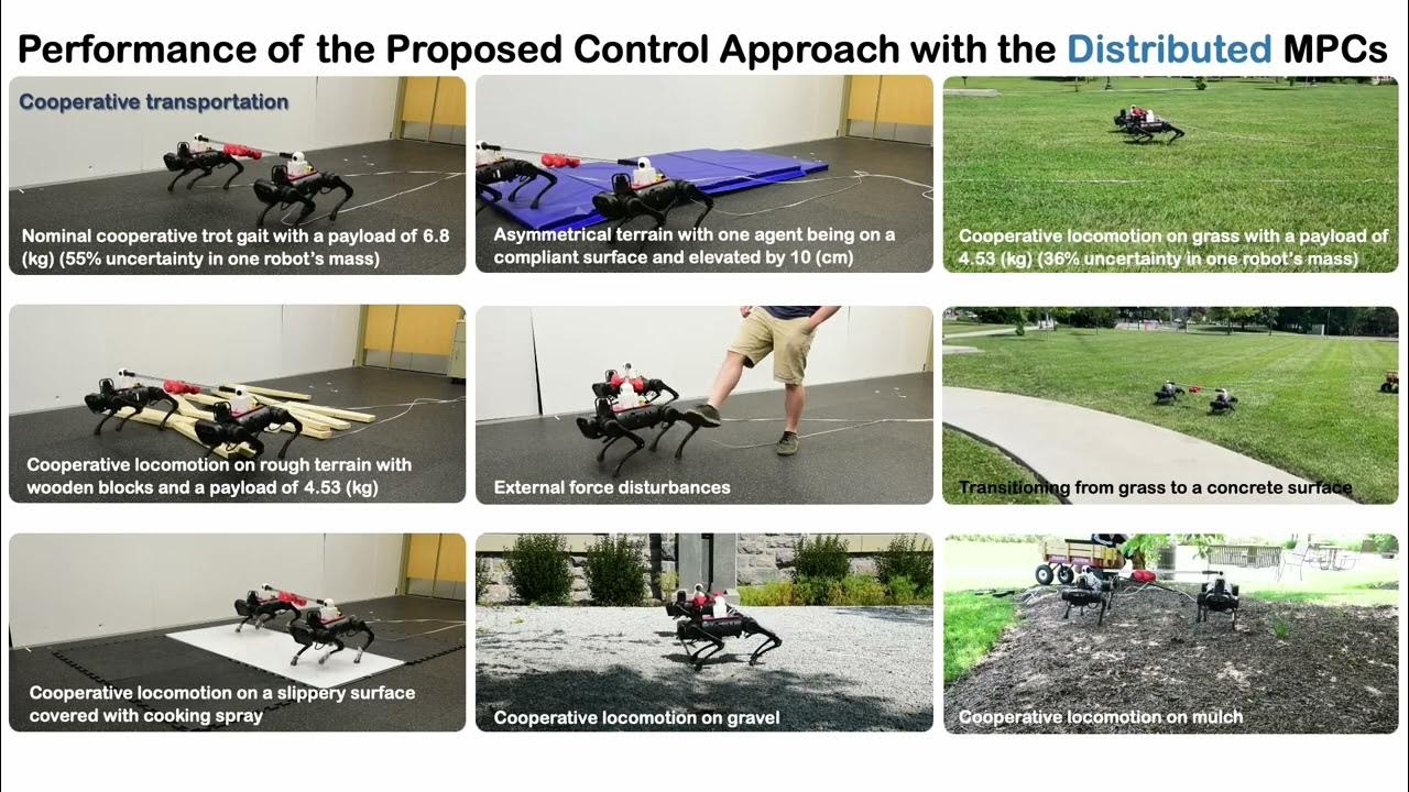 Layered Control for Cooperative Locomotion of Two Quadrupedal Robots - YouTube
