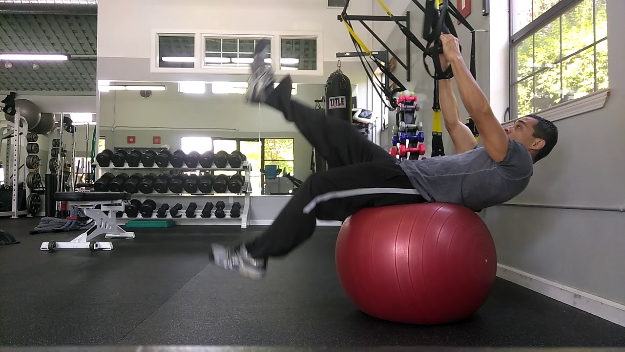 Lvl 3+ Strength/Stability...TRX(Front)/Swiss ball supine leg paddles ...