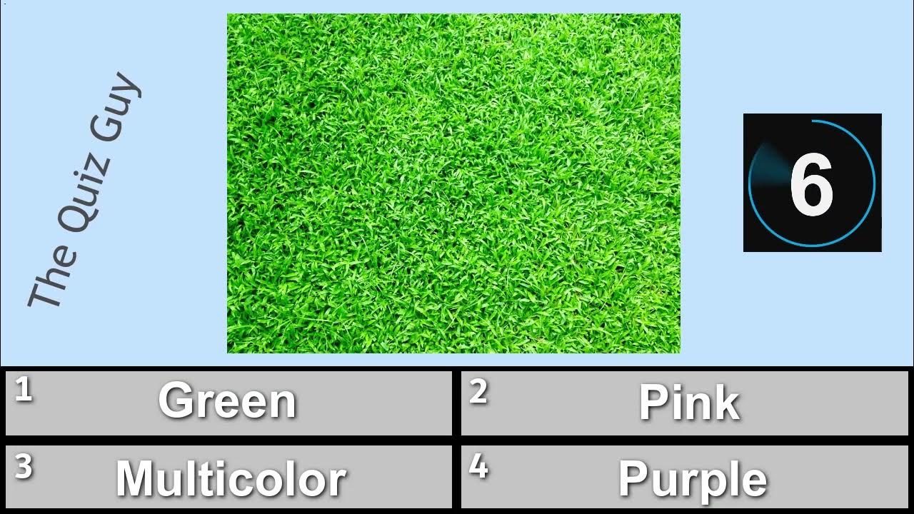 Quiz: Learn English - Colors - YouTube