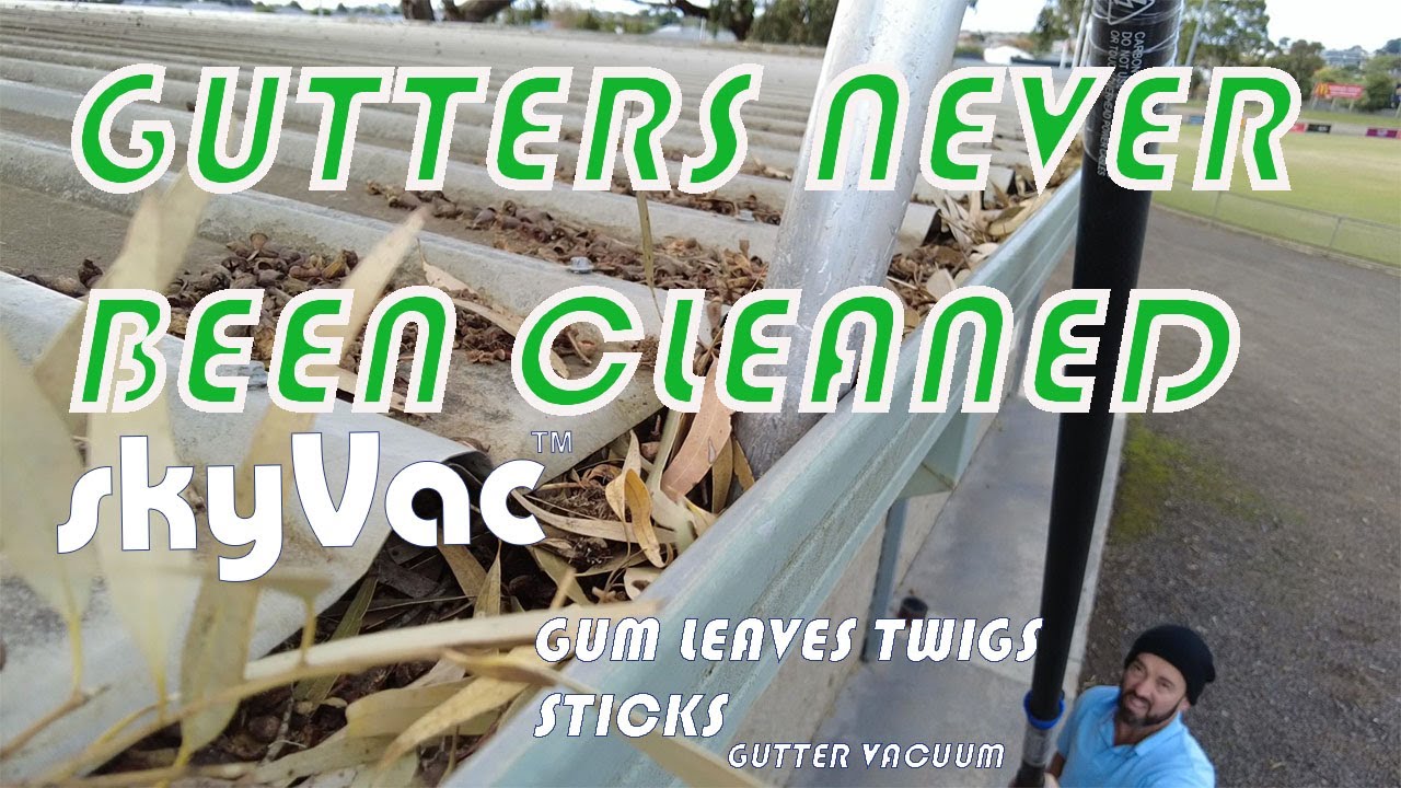 Gutter Never Before Cleaned Gum Leaves | Australia | SkyVac Gutter ...