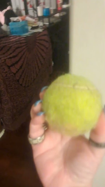 #fetch time with Mocha the #puppy #tennisball & #bigball for #dogs - YouTube