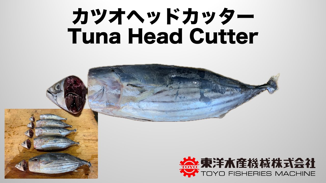 TOYO-375 Head Cutter for Tuna - YouTube