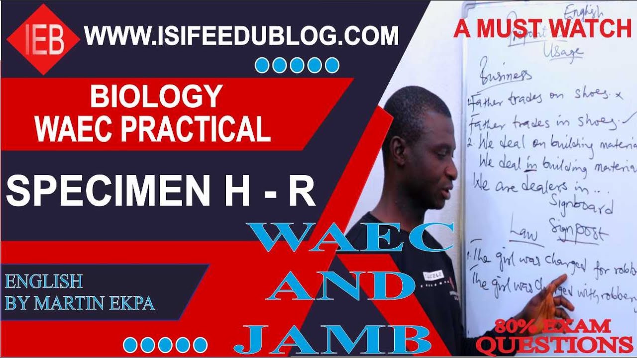 Biology practical 2024 (2024 Biology practical) Specimen H - R - YouTube