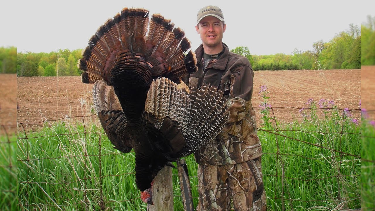 Midday Turkey Hunting Magic in Southern Ontario | Canada in the Rough ...