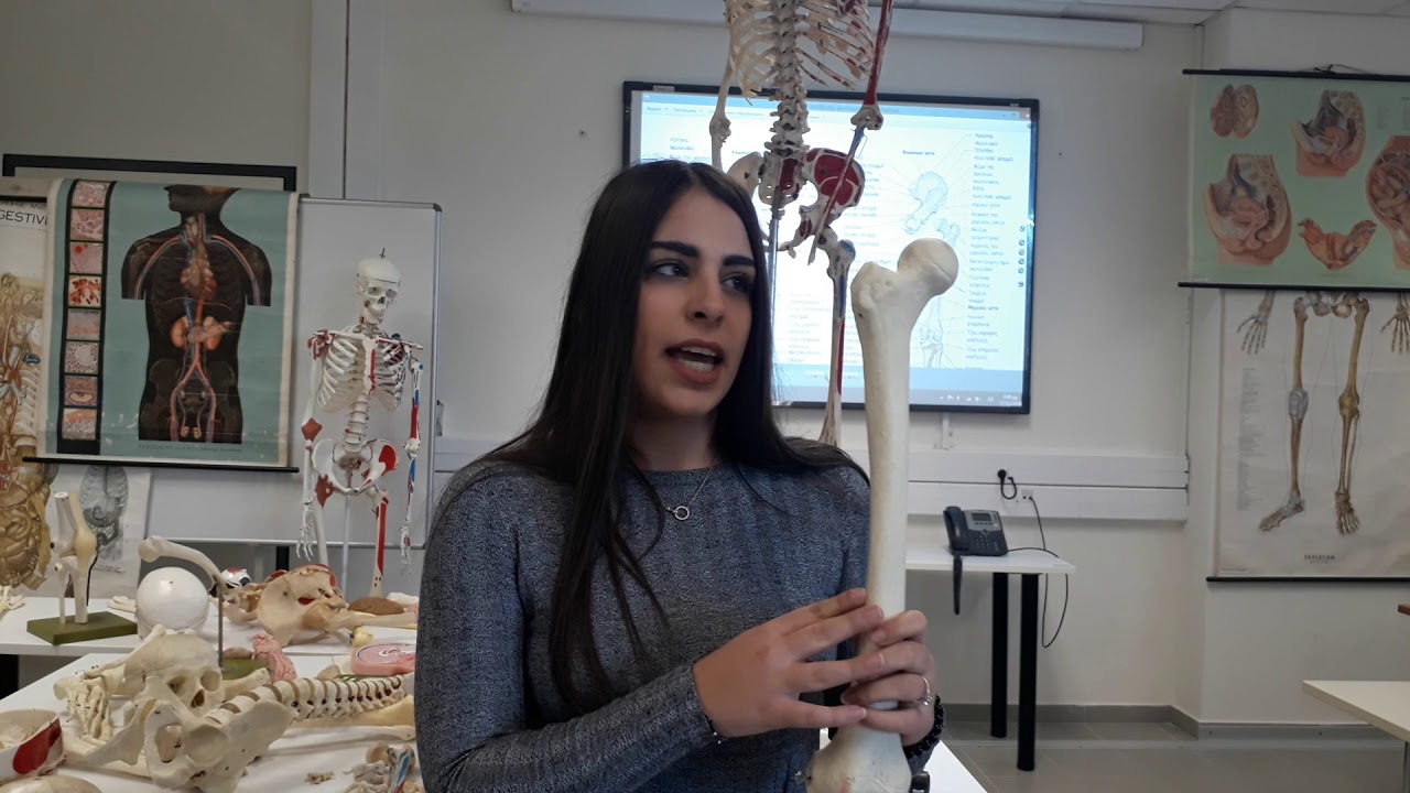 Ελληνικό Μεσογειακό Πανεπιστήμιο Μάθημα Ανατομίας Οστά Κάτω Άκρου 2 ...
