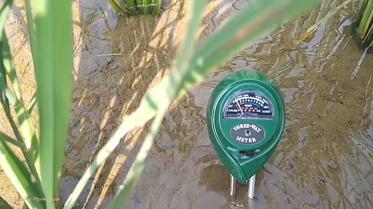 3 in 1 (soil moisture, pH value & sunlight levels) Soil pH Meter ...