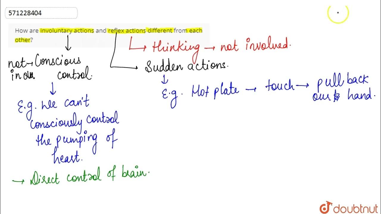 How are involuntary actions and reflex actions different from each other? | 10 | CONTROL AND C ...