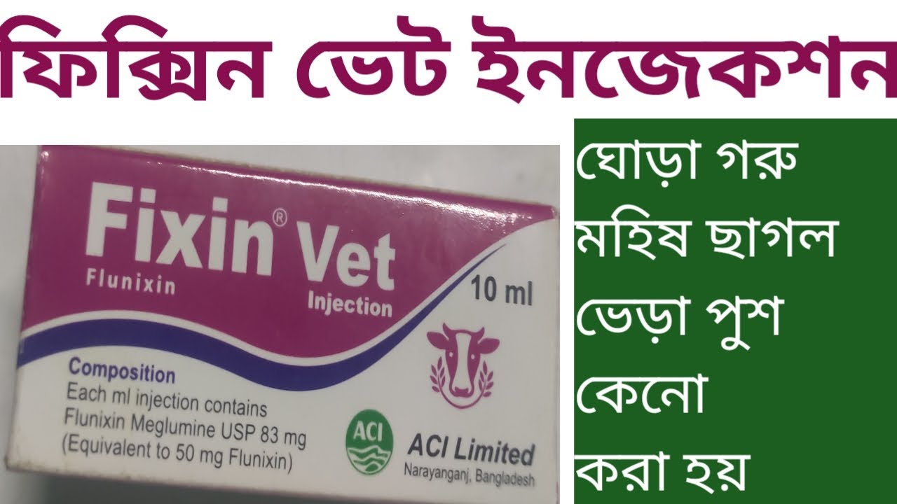 Fixin vet injection ঘোড়া গরু মহিষকে কেন পশ করা হয় - YouTube