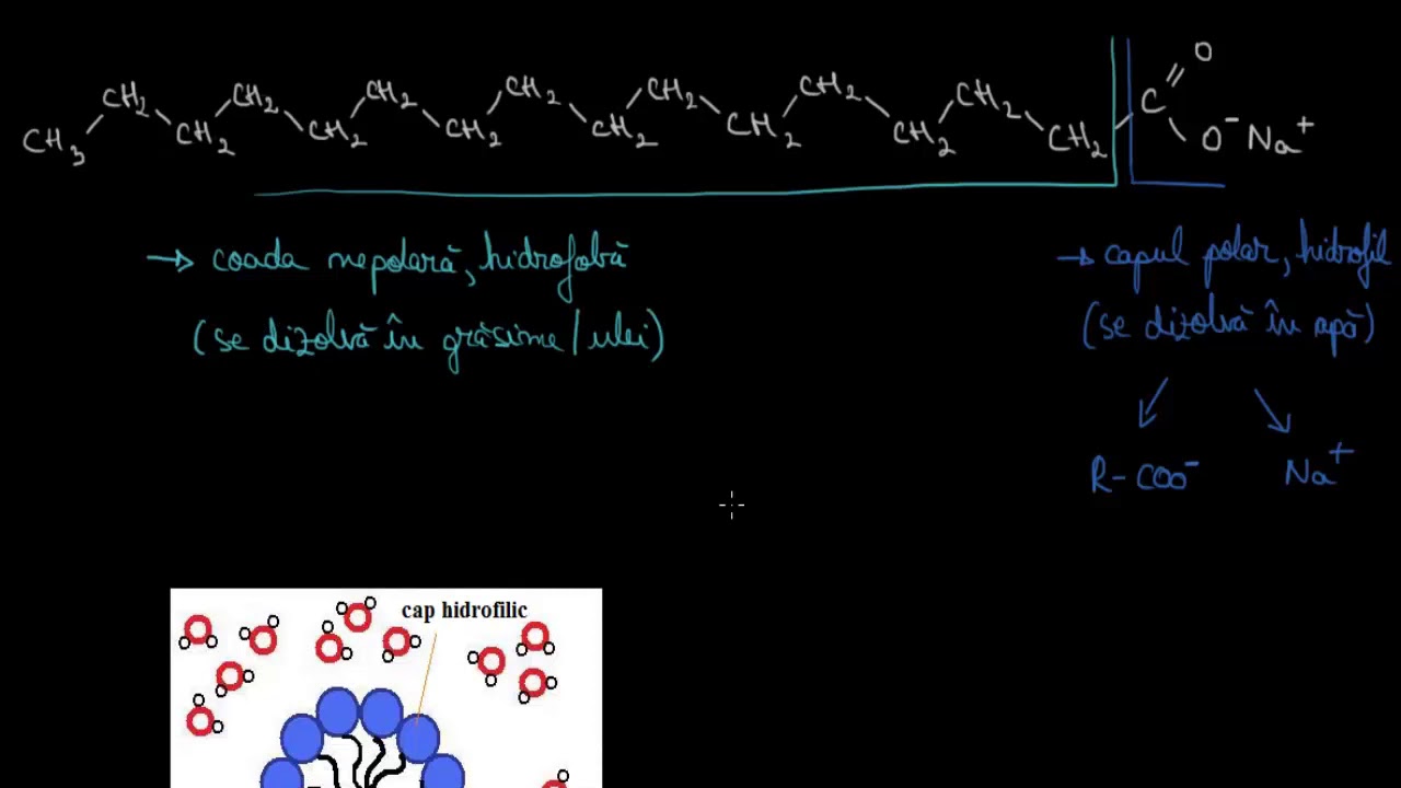 Săpunurile şi detergenţii | Lectii-Virtuale.ro - YouTube