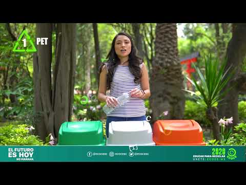 ¿Cómo separar para reciclar botellas de plástico (PET)? - YouTube