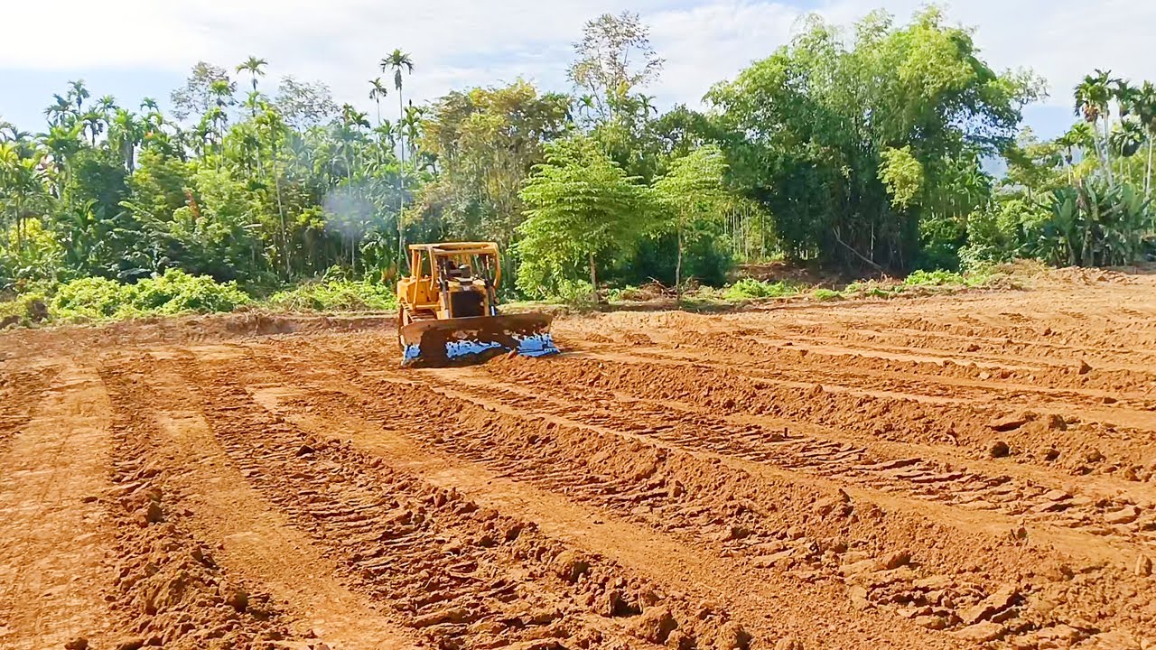 Caterpillar Bulldozer D6R XL Working to Level Land for Rice Fields ...