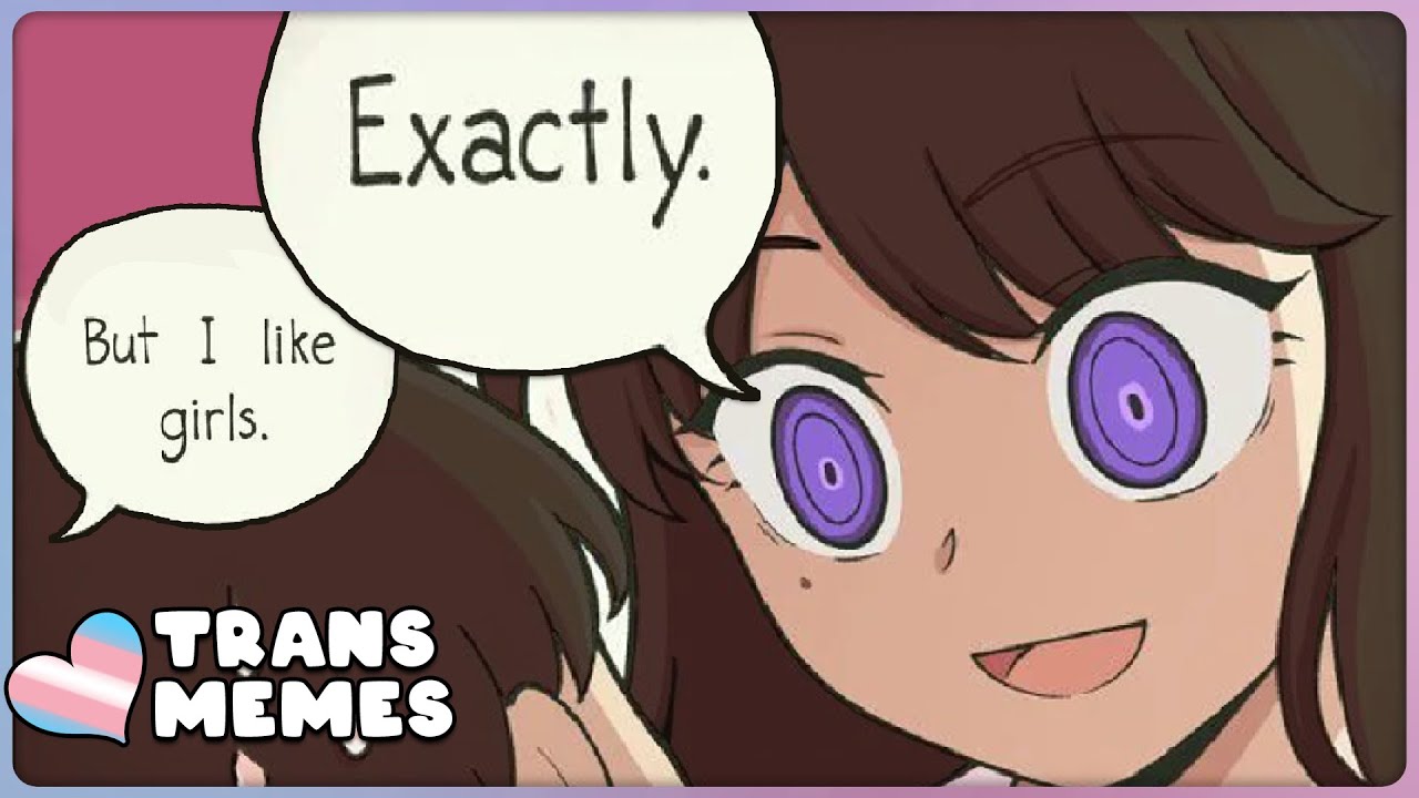 TRANS memes to fall asleep to 🏳️‍⚧️ Trans Wolf Witch 🐺 VTuber React r ...