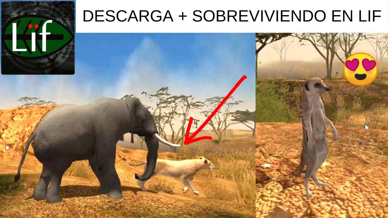 EL LOCO HERMANO DE WILD SAVANNAH + LINK DE DESCARGA - LIF DE GAMEVIAL ...
