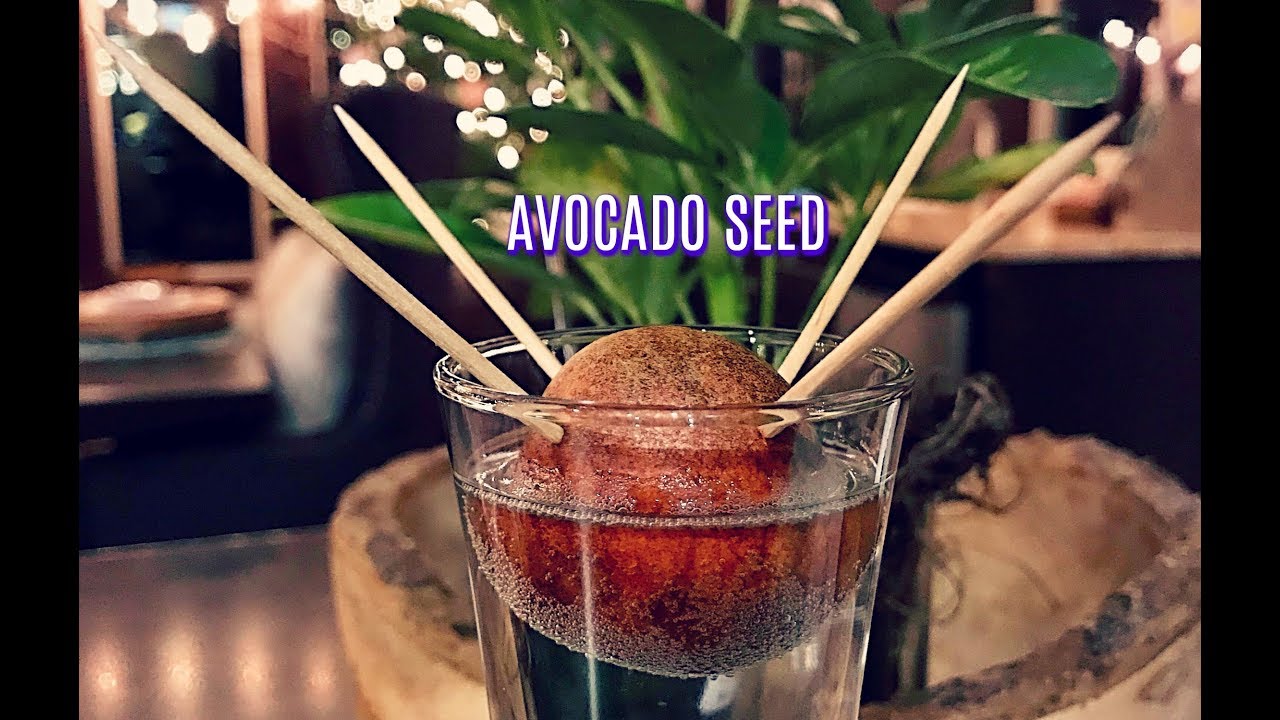 How to Get an Avocado Seed to Sprout - YouTube
