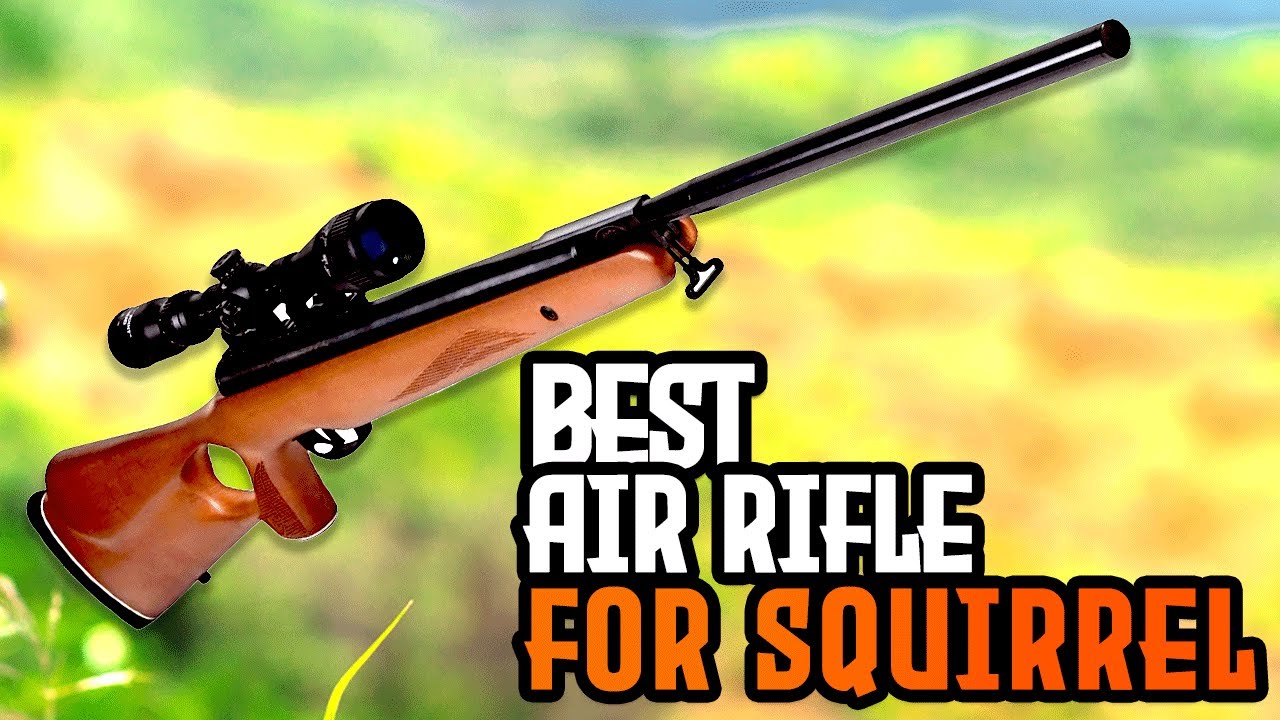 Top 8 Best Air Rifles for Squirrel Hunting in 2025 ! 🔥🎯 - YouTube