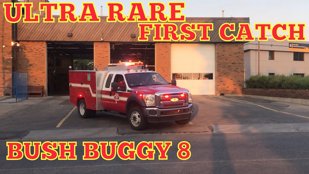 **ULTRA RARE/FIRST CATCH** Calgary Bush Buggy 8 Responding HOT To Grass ...