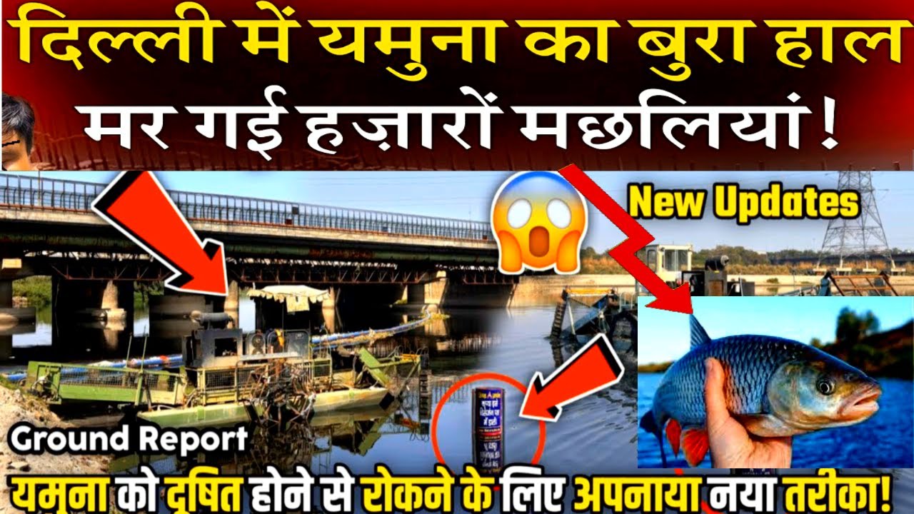 Mission Yamuna Clean-Up 2025 Update 🌊 | Yamuna River Clean-Up 2025 ...