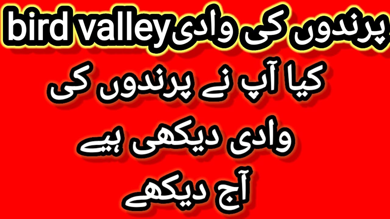 Bird Valley ! Bird Valley multan ! maria khalid official ! - YouTube