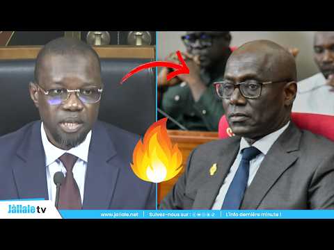 Ousmane Sonko remet Thierno Alassane Sall à sa place : « Sooy wax, war nga… »