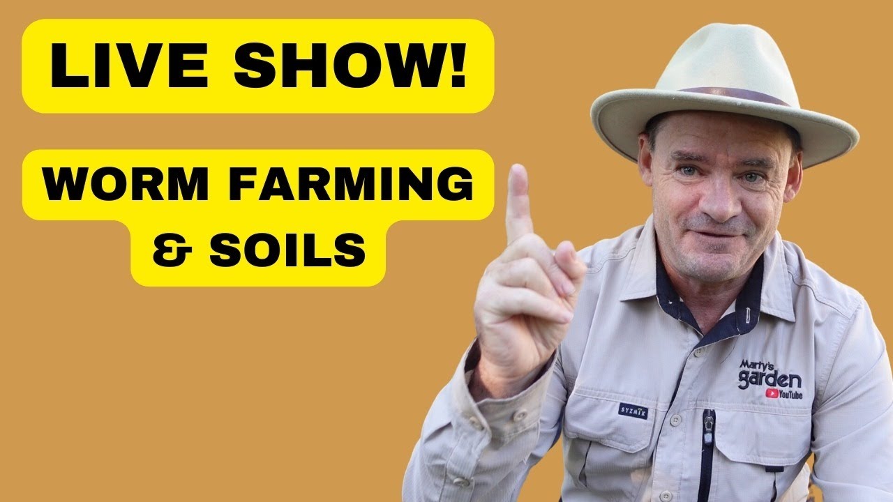 Worm Farming Introducing them to Soils Live Show - YouTube