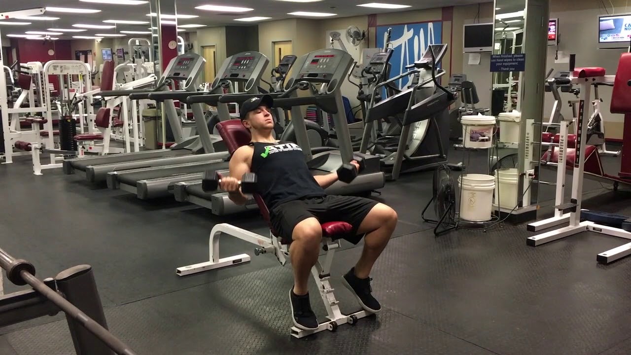 Seated Incline Dumbbell Curls - YouTube