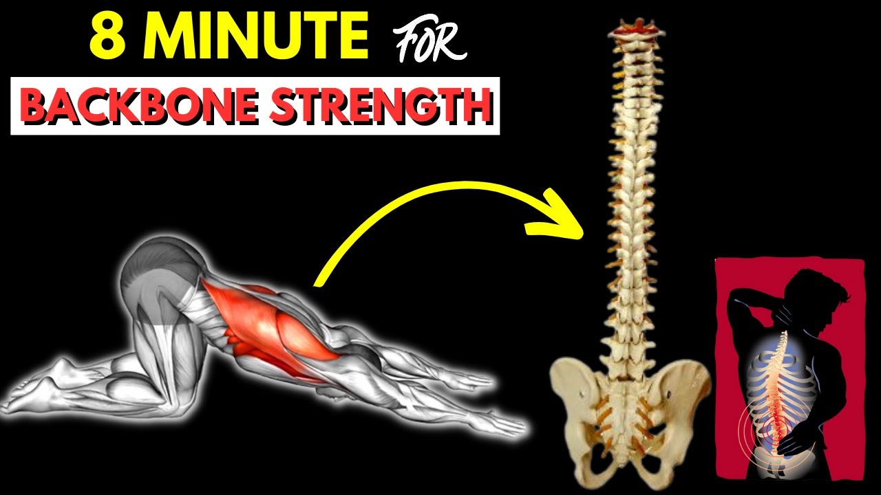 Backbone(Spine) Flexibility Workout - YouTube