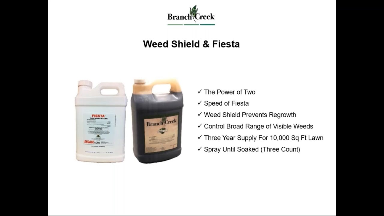 Weed Shield & Fiesta - YouTube