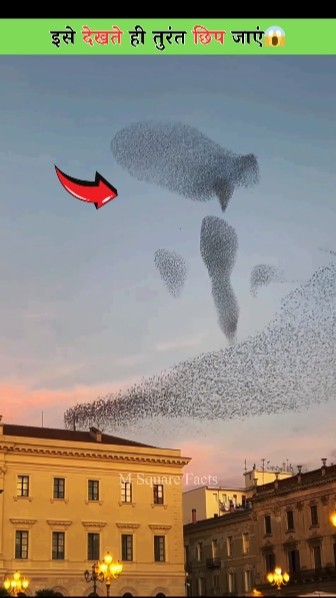 Something Flying in the Sky😱 - YouTube