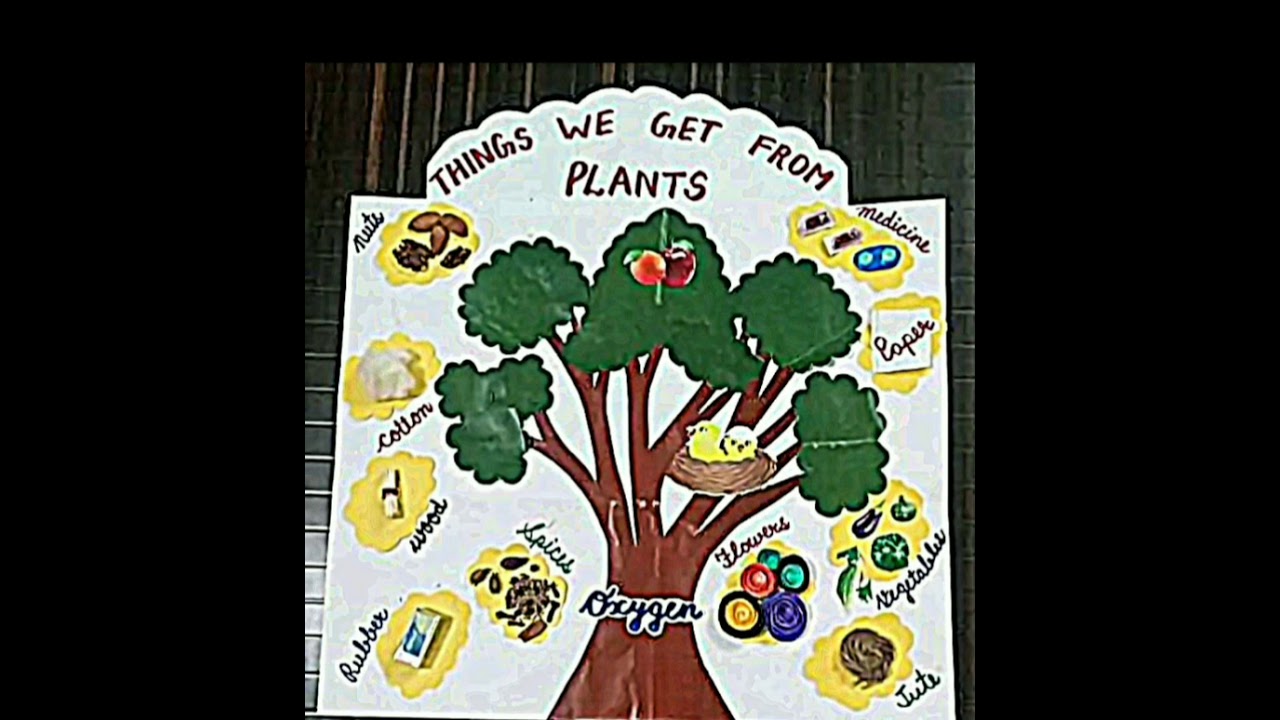 CLASS-4TH SOCIAL STUDIES PROJECT WORK - YouTube