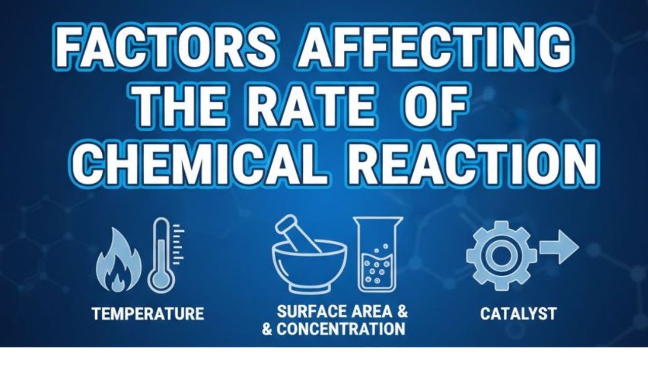 Factors affecting the rate of chemical reaction | Temperature & Q10 ...
