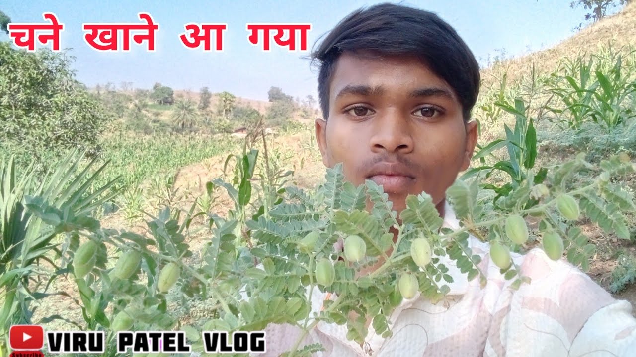 चने खाने आ गया 🌿 Viru patel vlog - YouTube