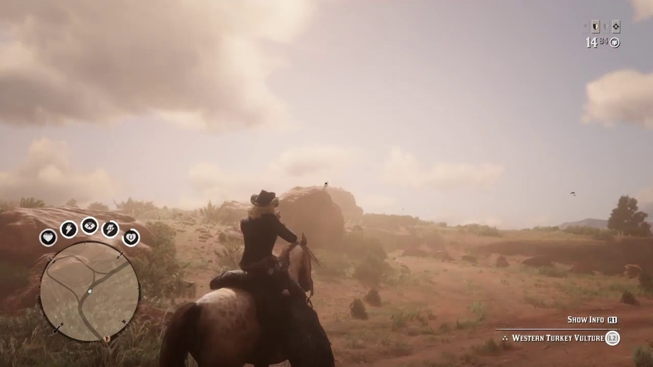 RDR2 Online - 5 Vulture spawn locations for Daily Challenge - YouTube