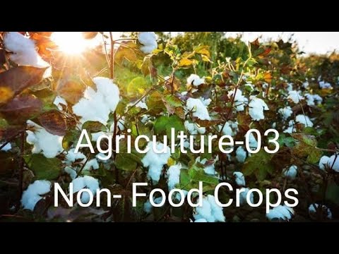 Agriculture -03: Non Food Crops - YouTube